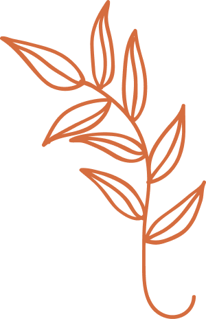 Responsive sushi website - Bedimcode